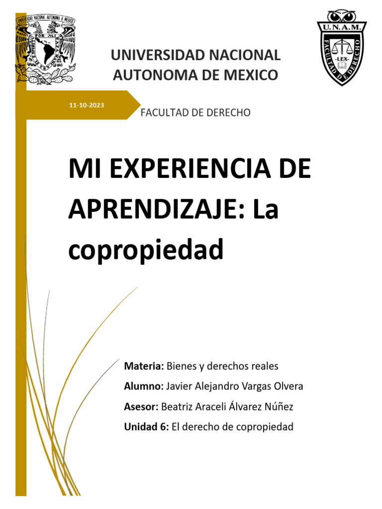 Experiencia en Derecho de Copropiedad | PDF