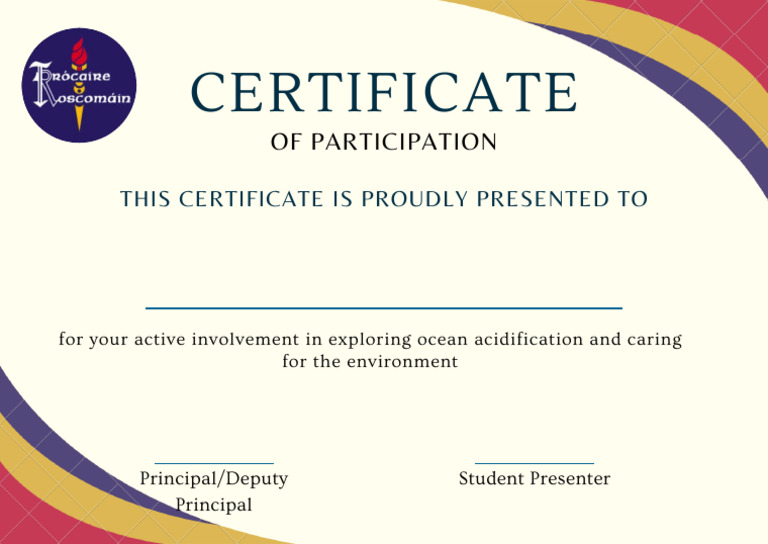 Participation Certificate | PDF
