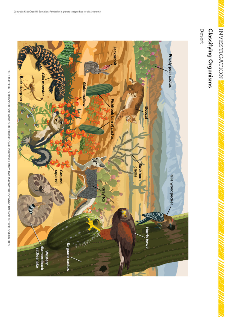 Ecosystems (Classifying Organisms) | PDF | Sea