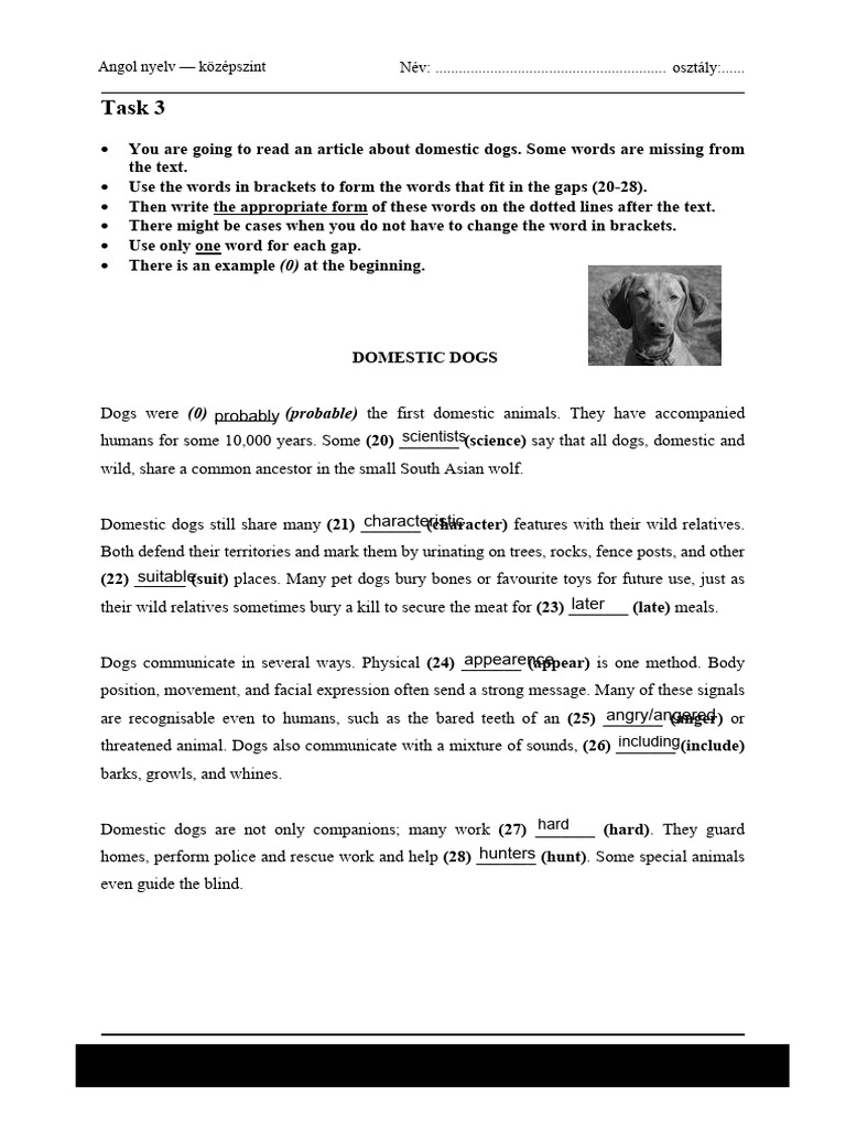 1 August Dogs Word Formation | PDF