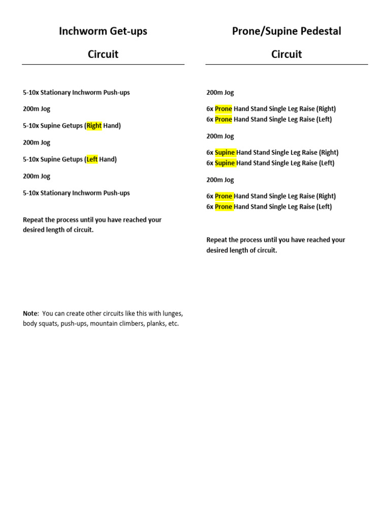 Circuit Workout Options | PDF | Sports Science | Physical Exercise