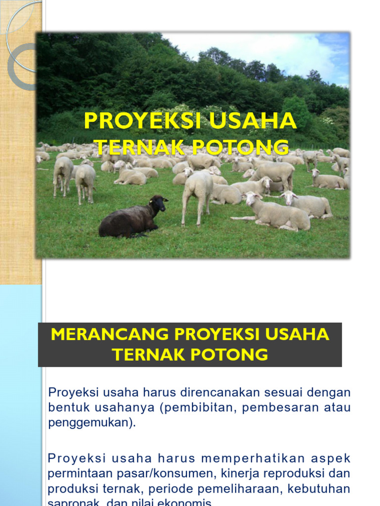 Proyeksi Usaha Ternak Potong | PDF