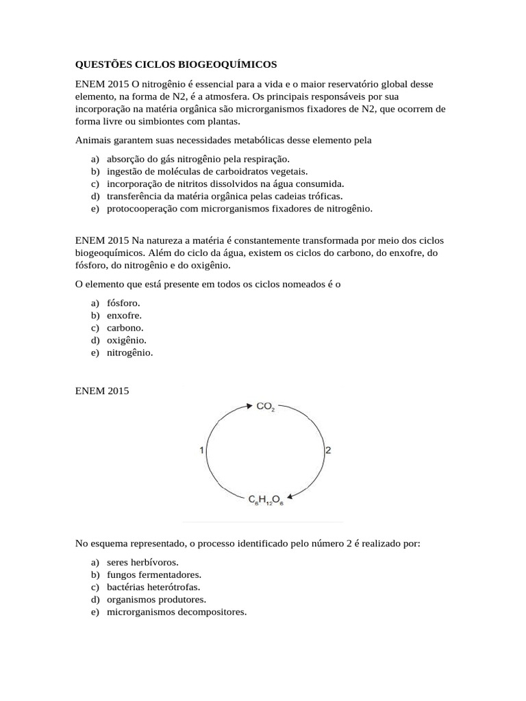 Questões Ciclos Biogeoquímicos | PDF