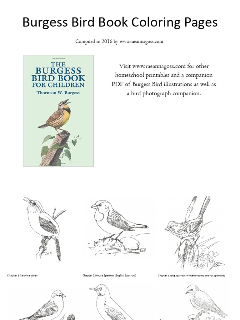 Burgess Bird Book Coloring Pages | PDF