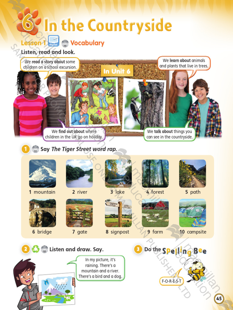 Countryside Adventure Lesson Plan | PDF | Trees
