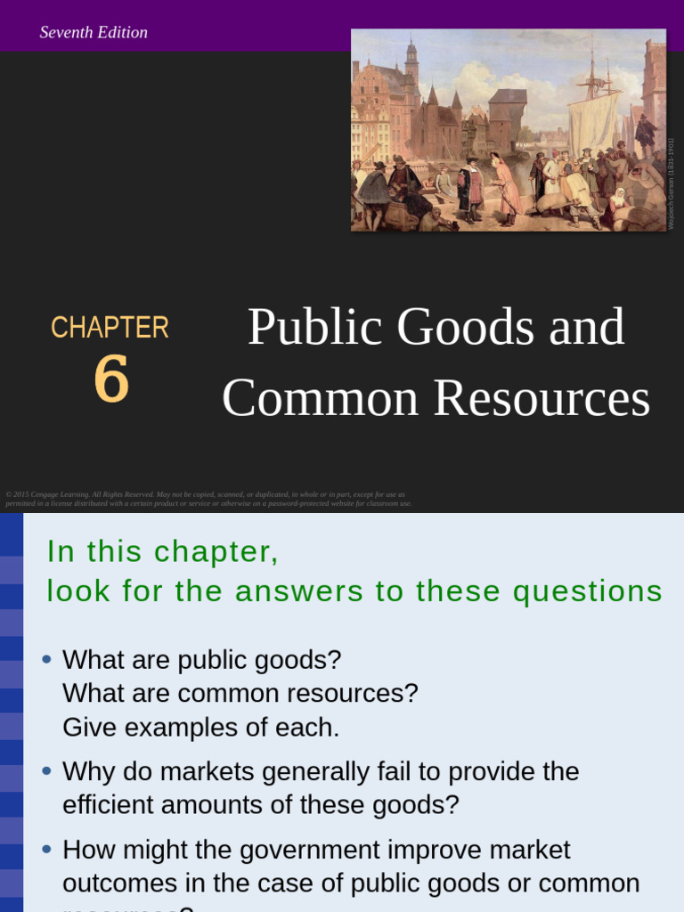 6.chapter 06 - Public Goods and Common Resources | PDF | Goods | Spamming