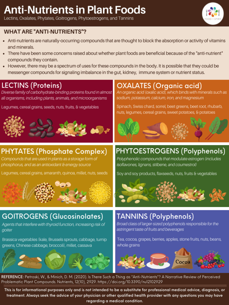 The Anti Nutrient Guide | PDF | Polyphenol