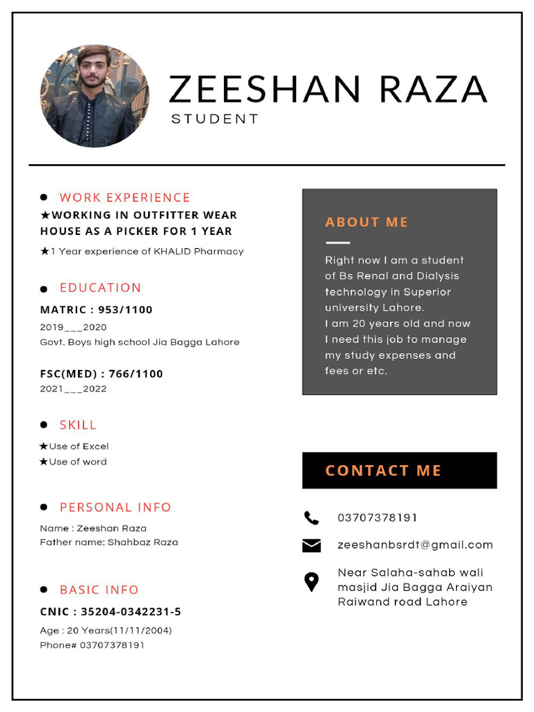 Zeeshan CV PDF | PDF