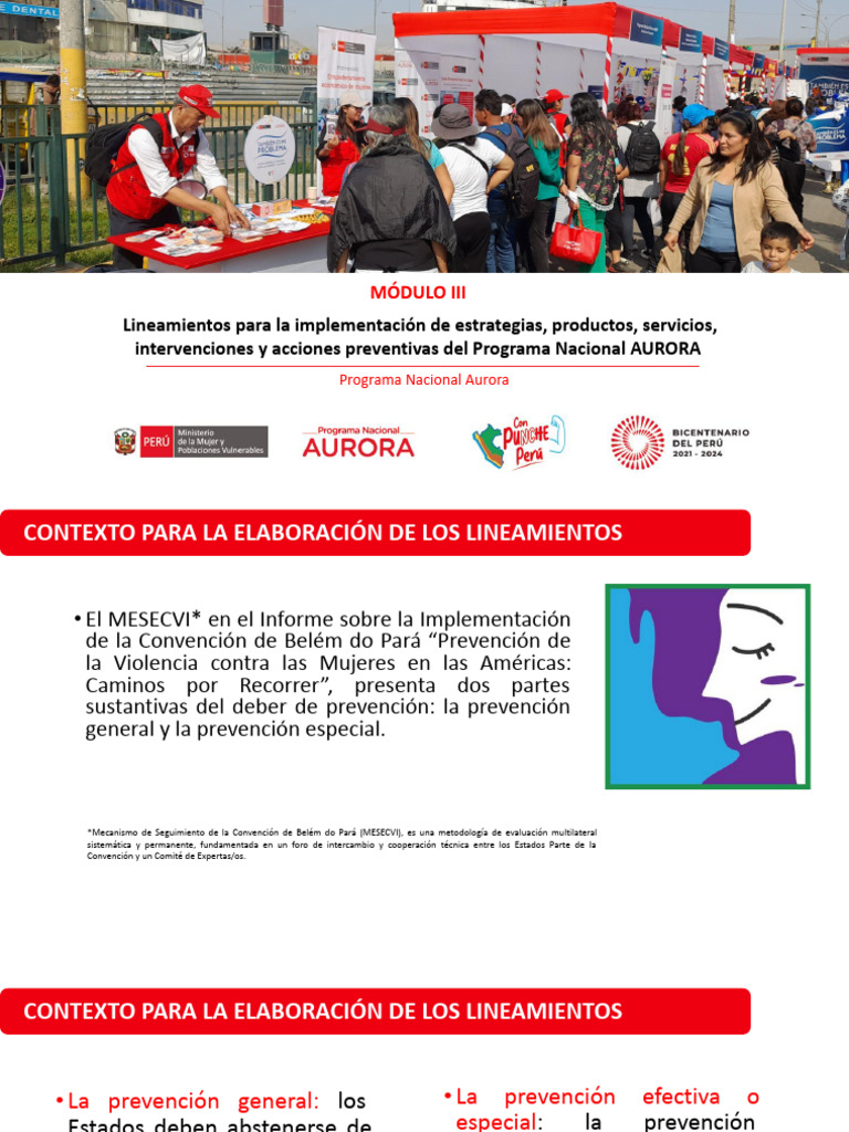 Lineamientos para Prevenir Violencia de Género | PDF | La violencia ...