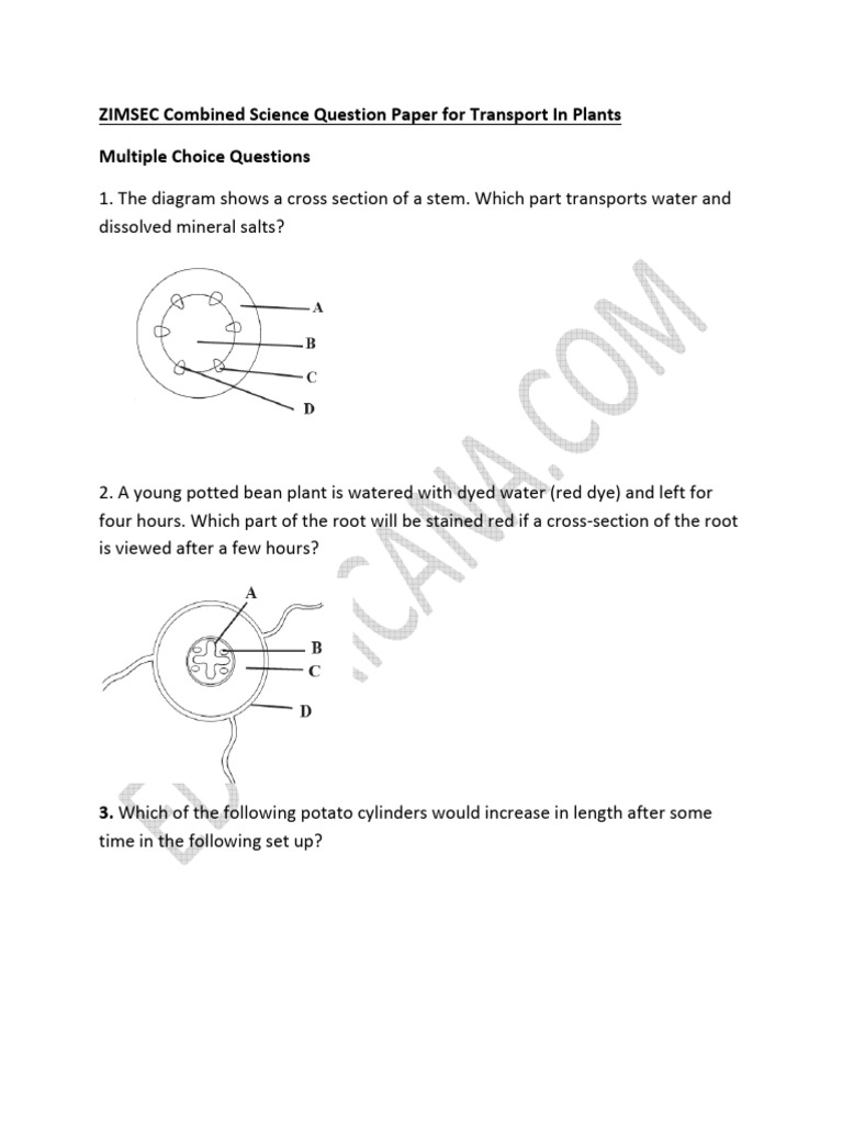 ZIMSEC O Level Combined Science Question Paper For Transport in Plants ...
