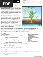 Photosynthesis Experiment with Spinach | PDF | Sodium Bicarbonate