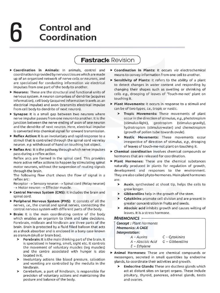 Control and Coordination 1 | PDF