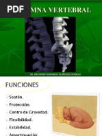 Articulaciones y Ligamentos de La Columna Vertebral | PDF