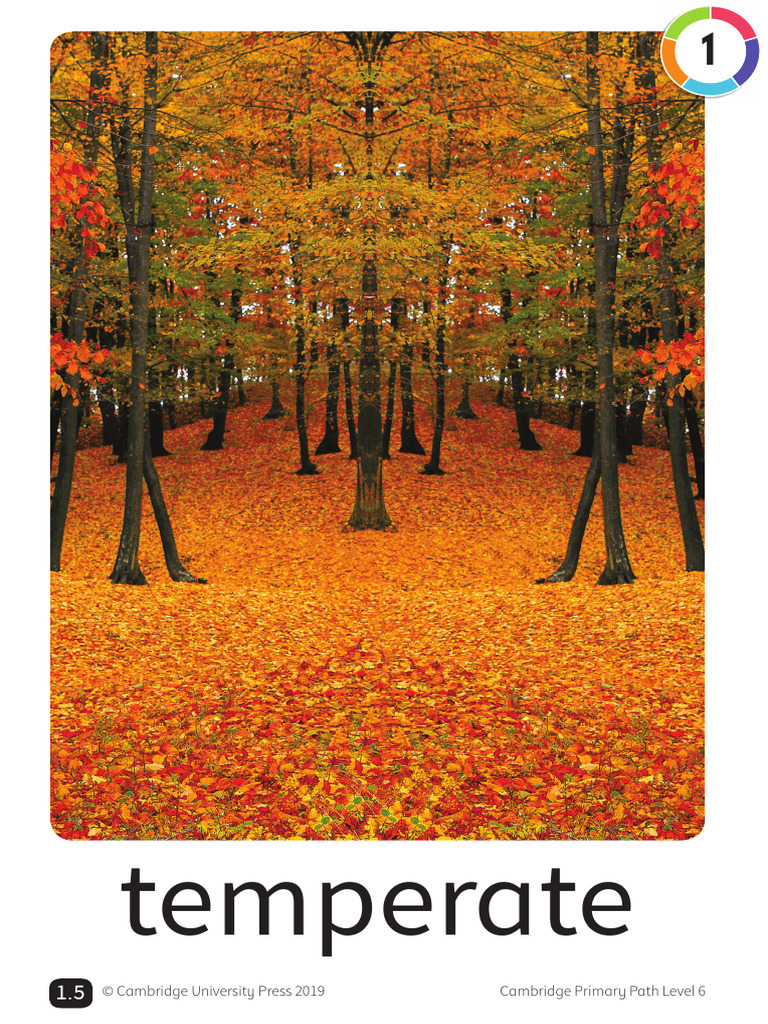 CPP L6 Flashcard 1.5 Temperatey | PDF