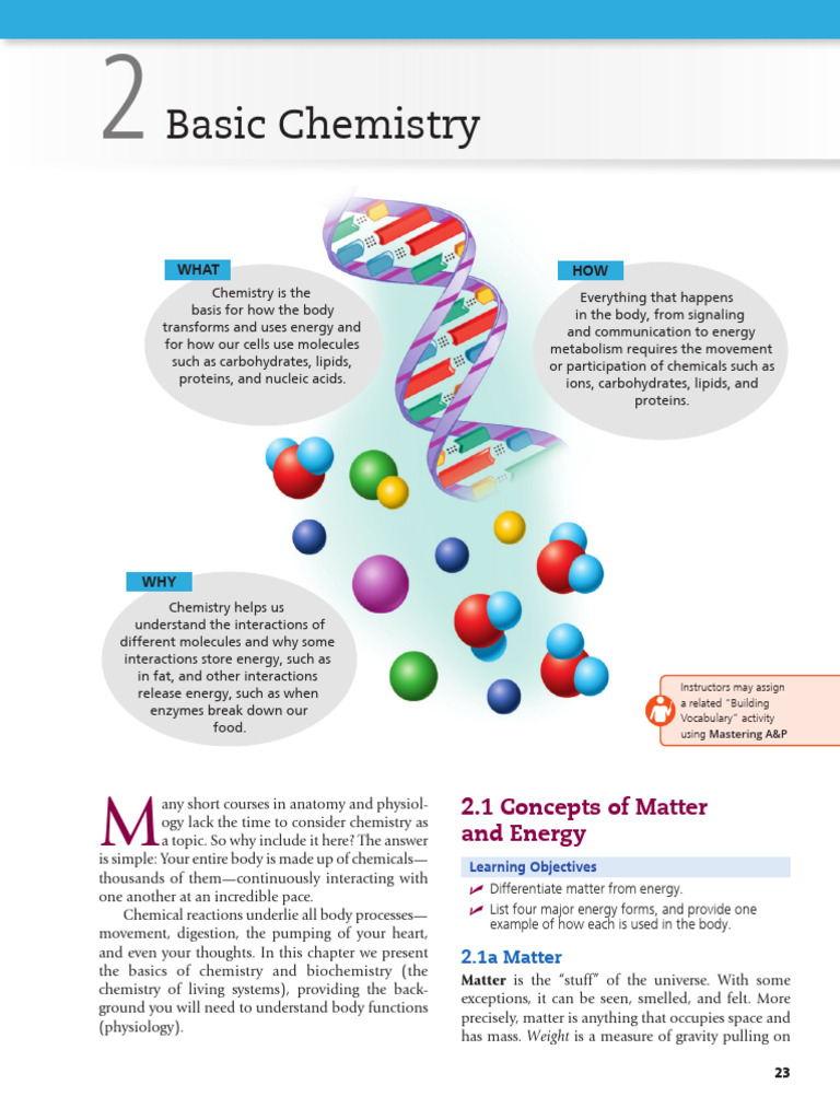 Ch2.Essentials of Human Anatomy & Physiology, 13e - Extract | PDF | Ion ...