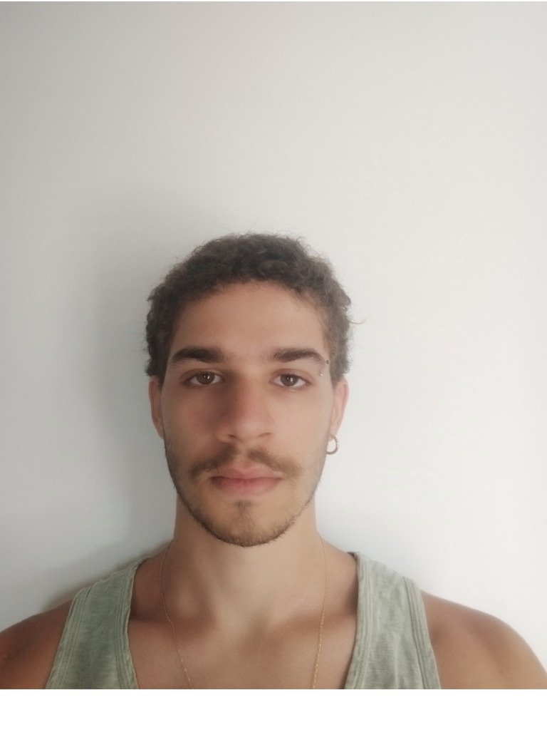 ACE Scanner_2024_12_24 ace tlg | PDF