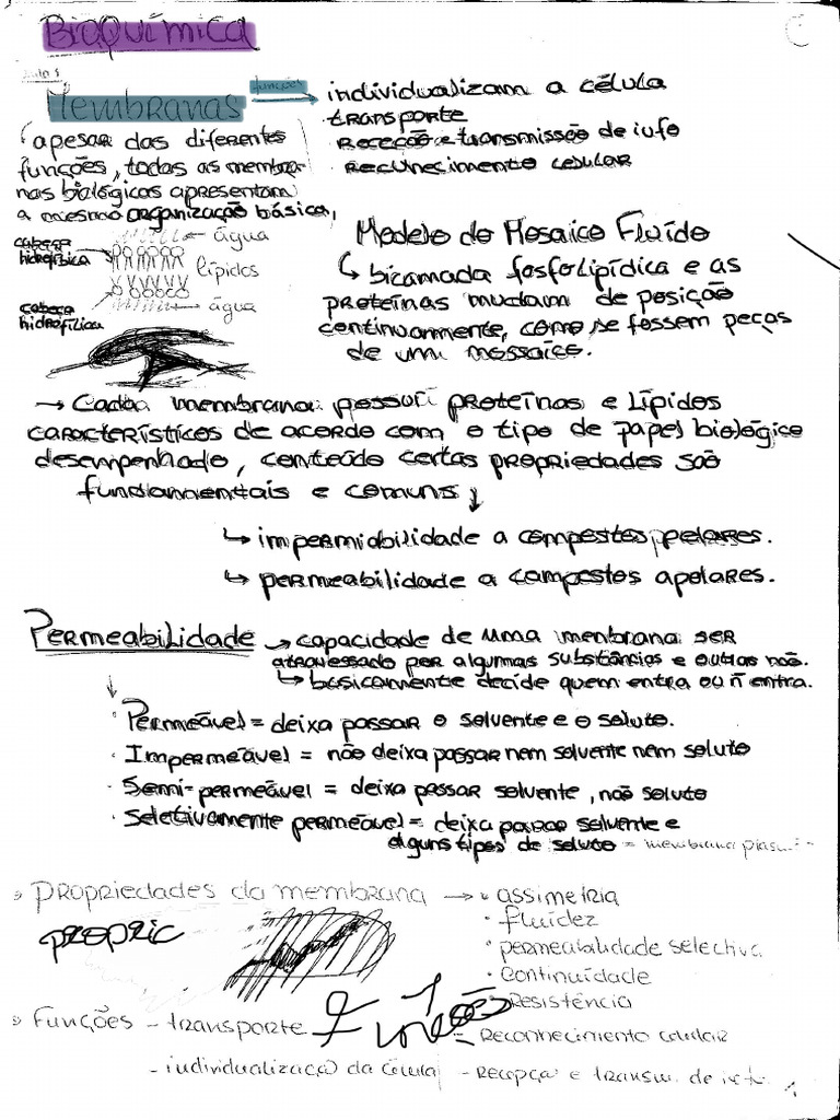 Resumos Bioqui Mica | PDF