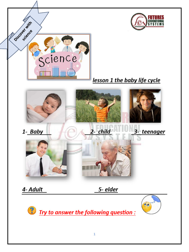 Lesson 1 The Baby Life Cycle | PDF