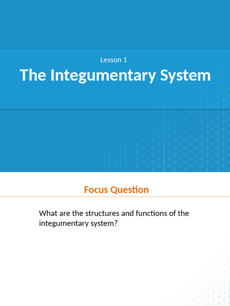 CA Lesson 1 The Integumentary System | PDF | Skin | Integumentary System