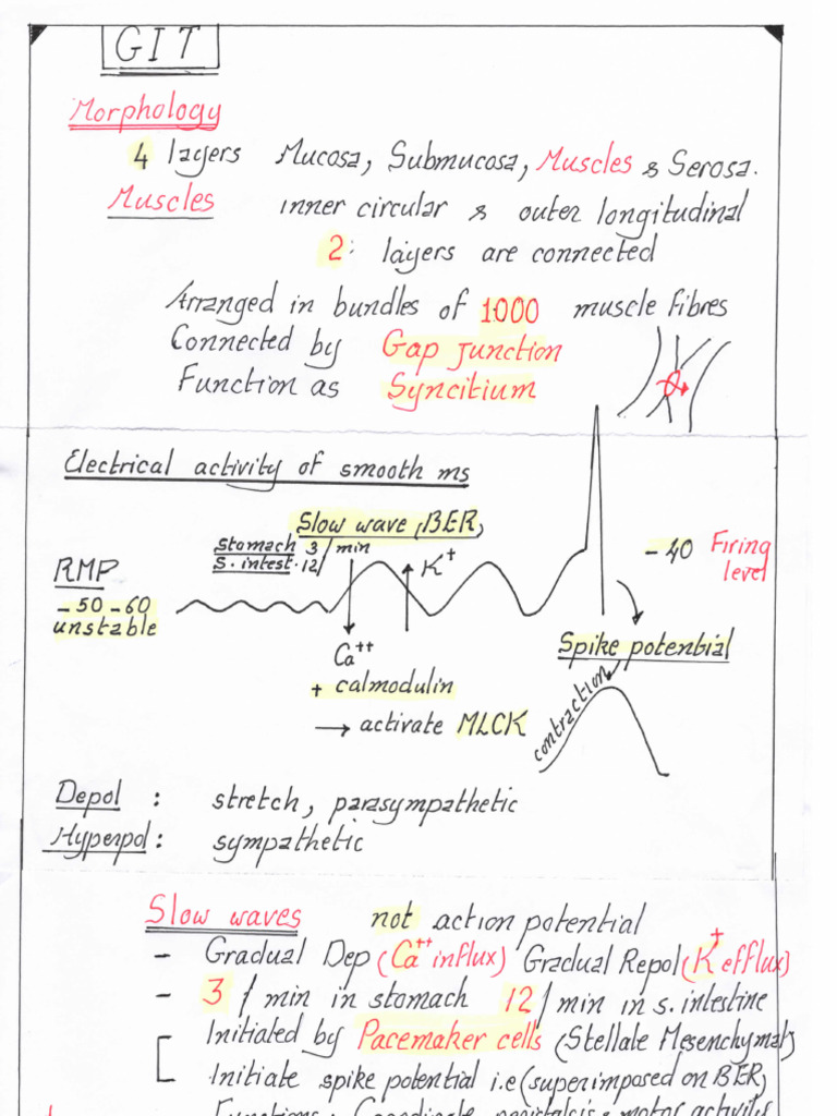 New GIT Diagrams | PDF