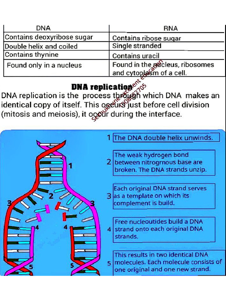 Life Science Notes | PDF