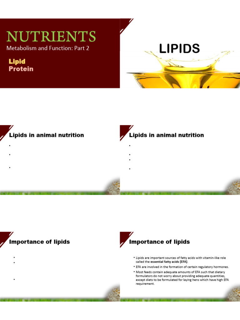 lipid | PDF | Lipid | Triglyceride