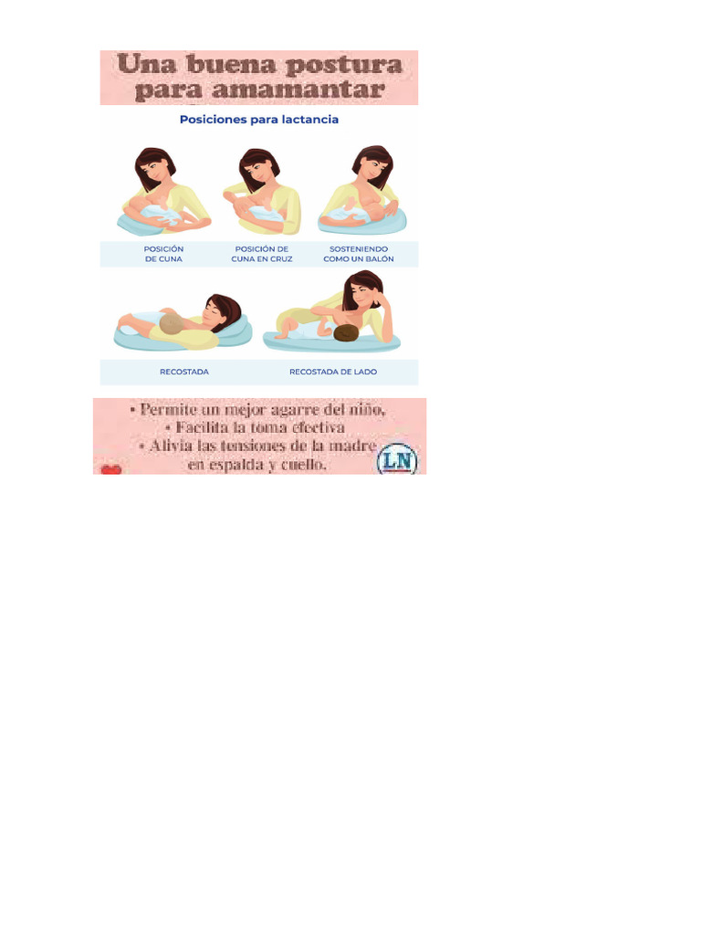 Posicion Correcta para Amamantar Al Bebe | PDF