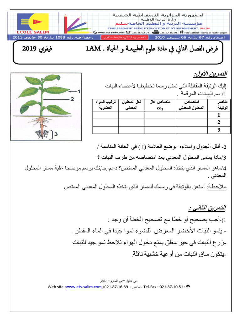 Dzexams 1am Sciences 923921 | PDF