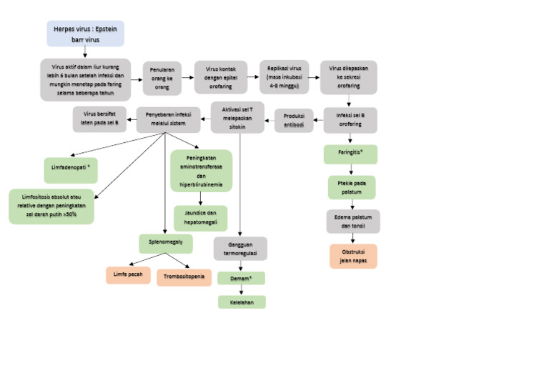 Mapping Patofis Mononukleosis | PDF