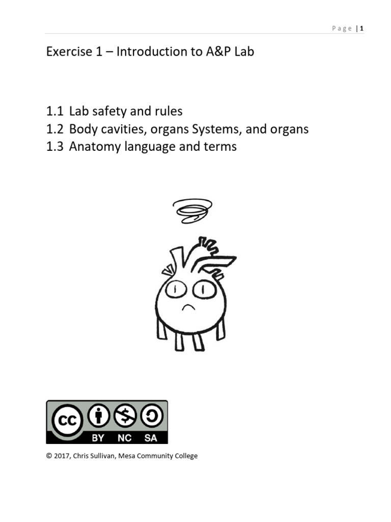 BIO160 Lab Exercise 1-2 | PDF | Anatomical Terms Of Location | Anatomy