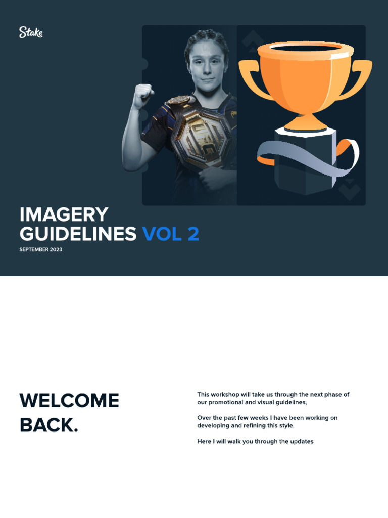 Updated Visual Guideline | PDF | Image Editing