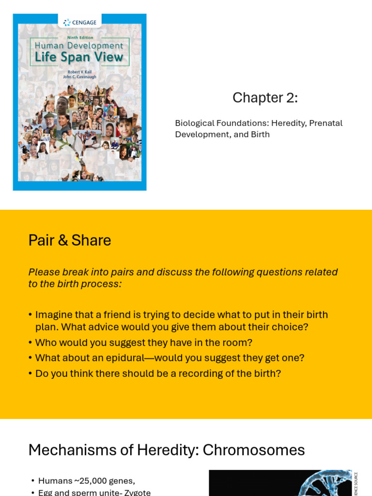 PSY2300_PPT_CH02 | PDF | Dominance (Genetics) | Allele