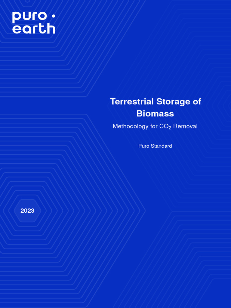 Terrestrial Storage of Biomass | PDF | Carbon Dioxide | Decomposition