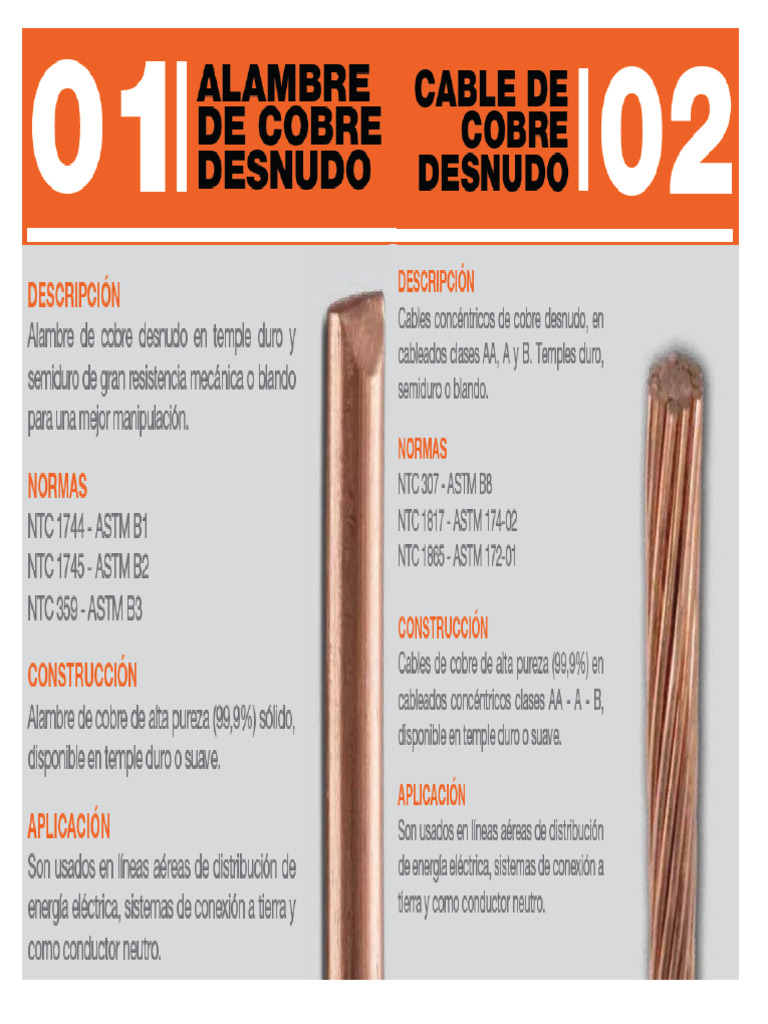 Porta Folio | PDF
