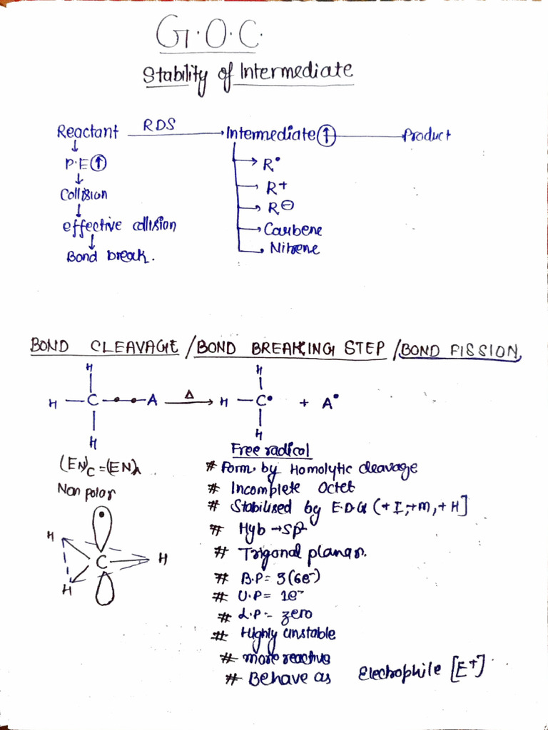 GOC PART 1 (1) | PDF