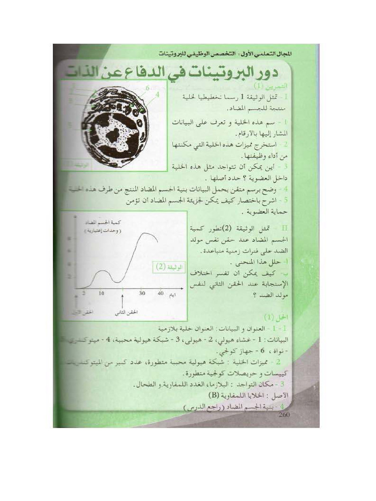 Dzexams Docs 3as 902086 | PDF