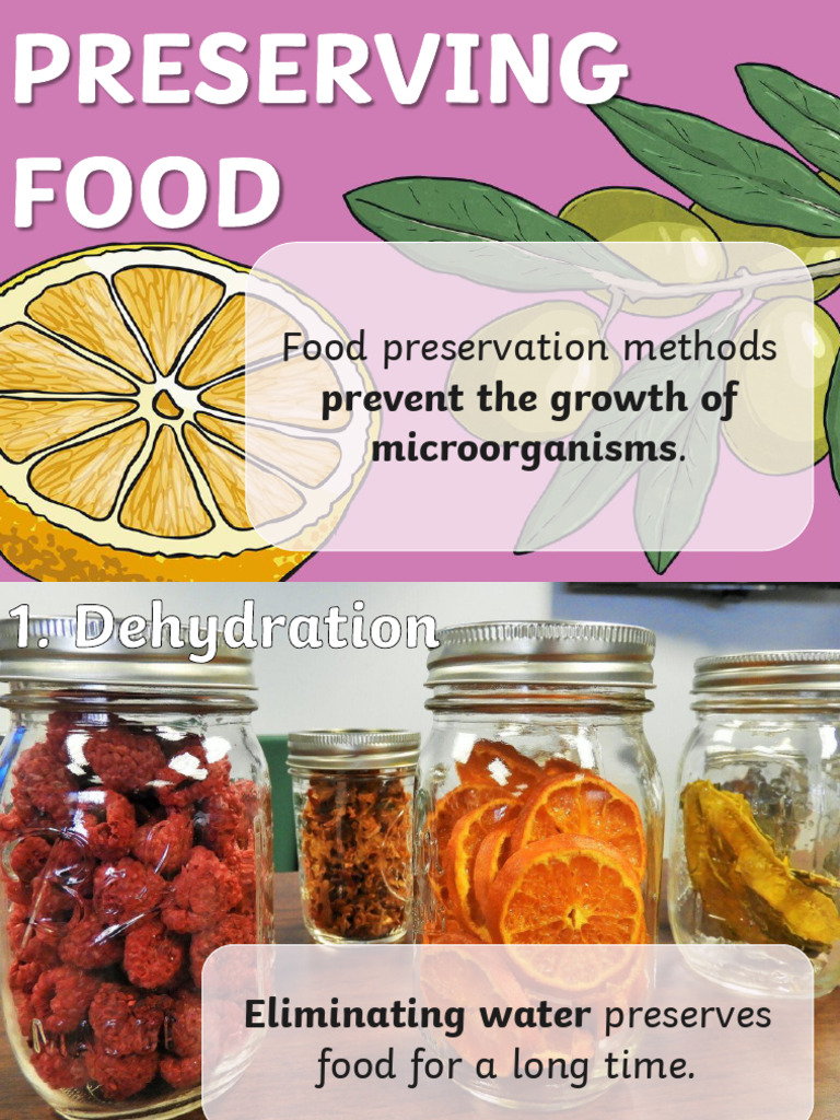 Food Preservation Techniques Guide | PDF