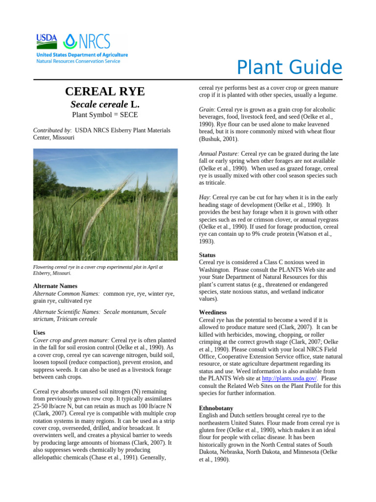 pg_sece (1) | PDF | Rye | Cereals