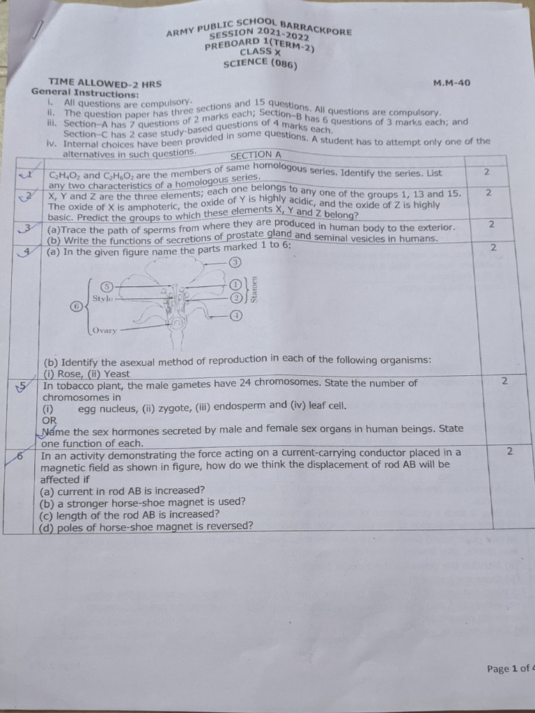 Class 10 Science | PDF | Magnetic Field | Electromagnetism