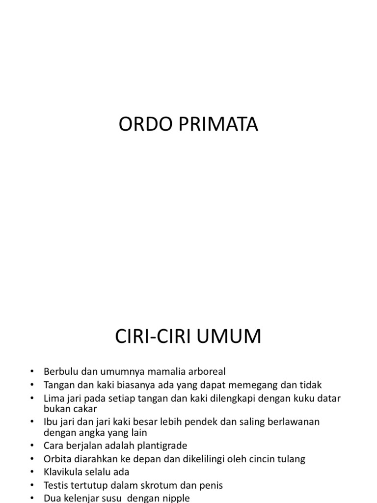 Ordo Primata | PDF