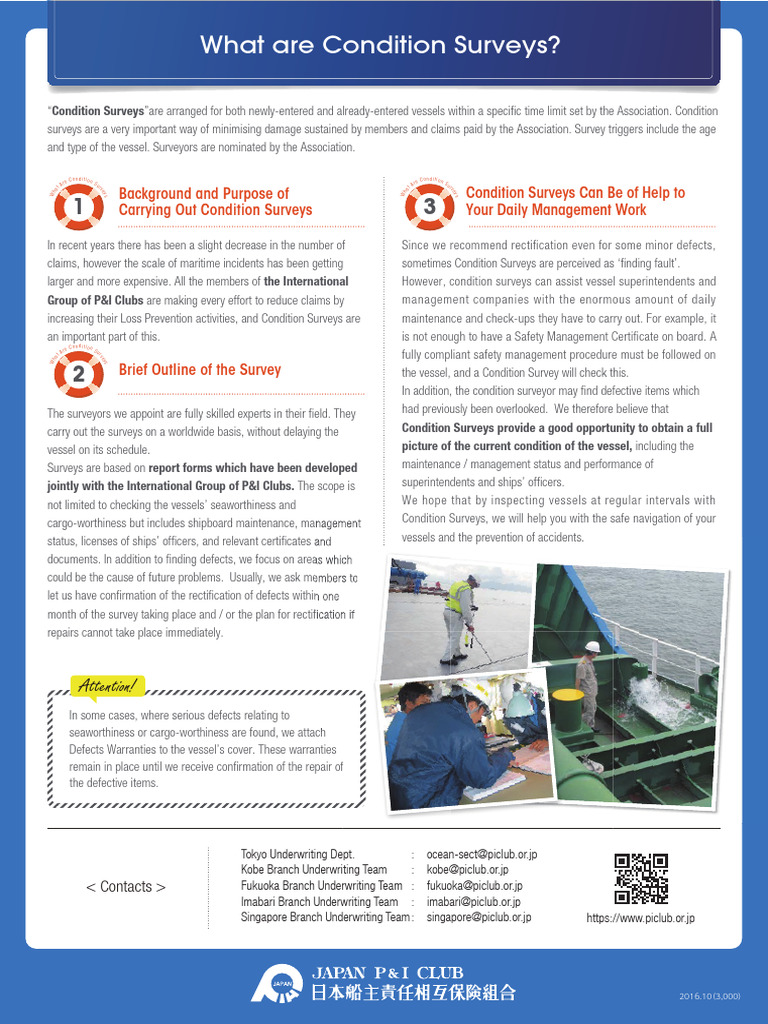 What are Condition Surveys | PDF