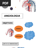 Anatomía del Corazón en Caballos | PDF | Corazón | Ventrículo (corazón)