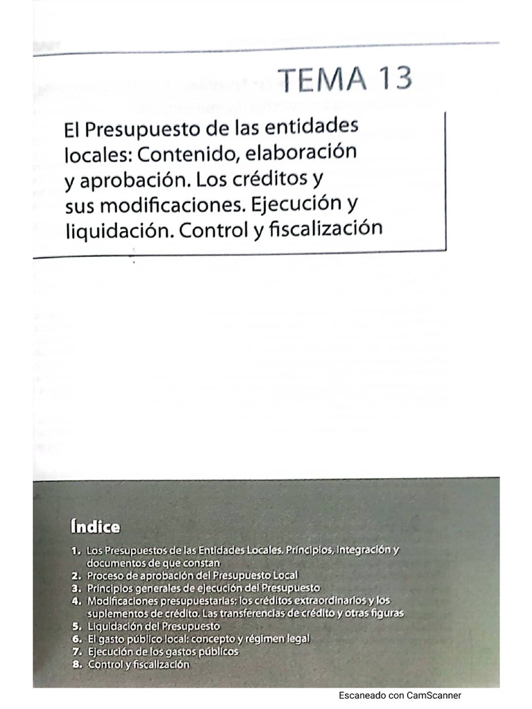 13 El Presupuesto de Las Entidades Locales | PDF