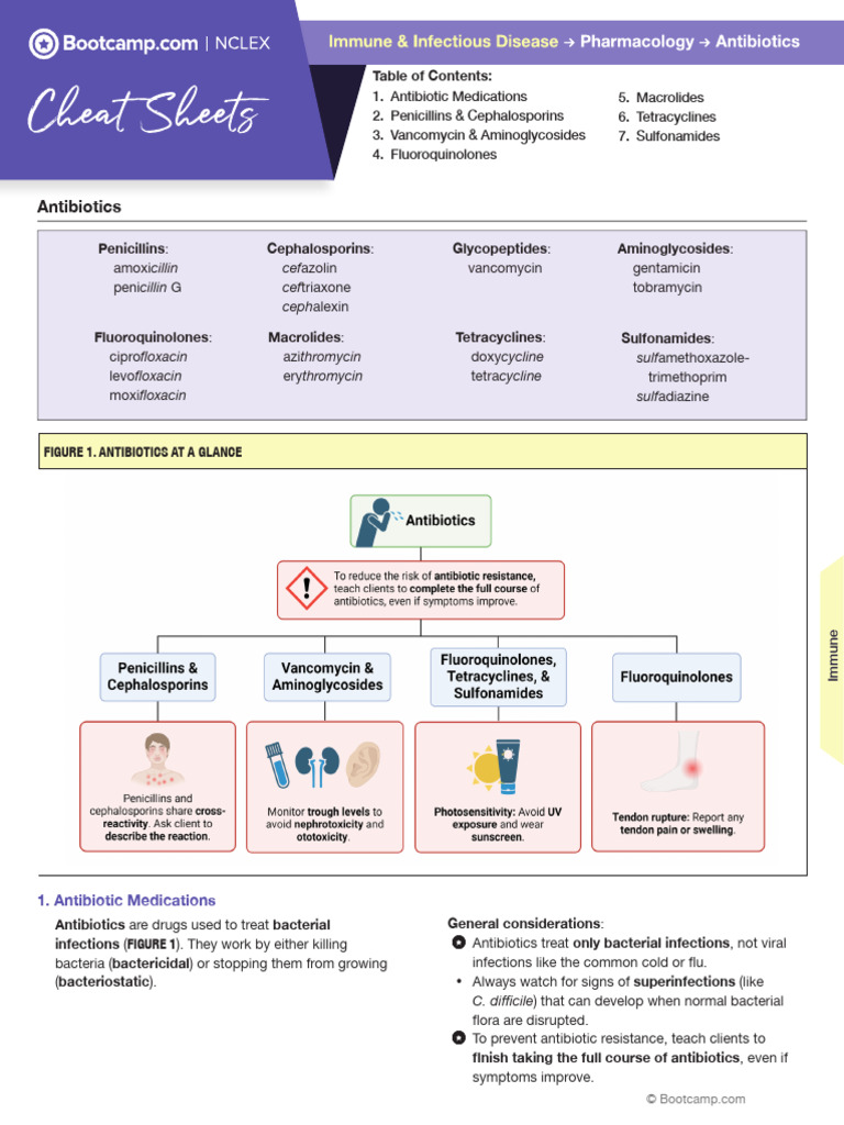 Antibiotic Medications Overview | PDF | Medical Specialties | Clinical ...