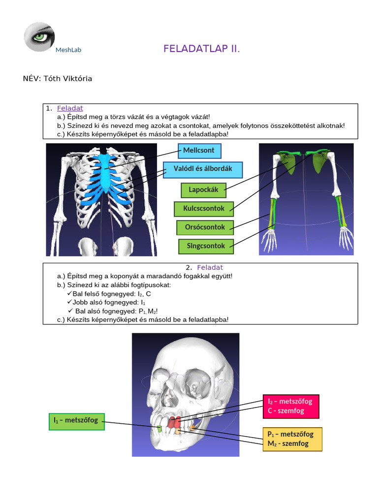 Meshlab II. | PDF