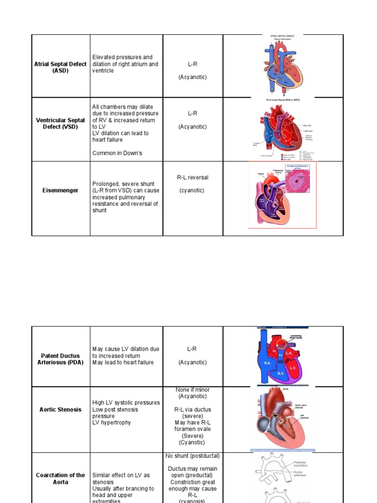 Congenital Heart Defects | PDF
