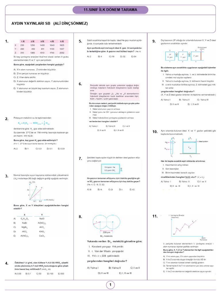 11.sinif İlk Dönem Tarama Aydin | PDF