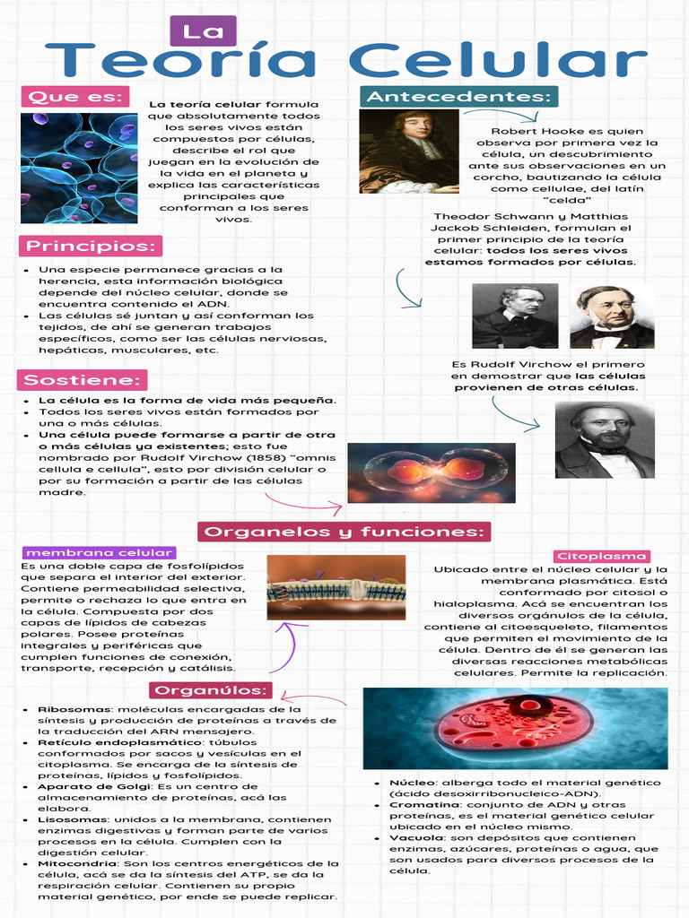La Teoría Celular | PDF | Biología Celular) | Ciencias de la vida