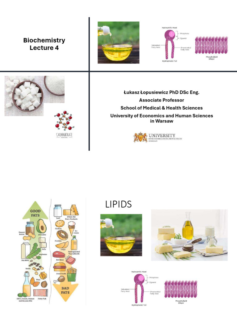 Biochemistry 4 Pdf Lipoprotein Lipid