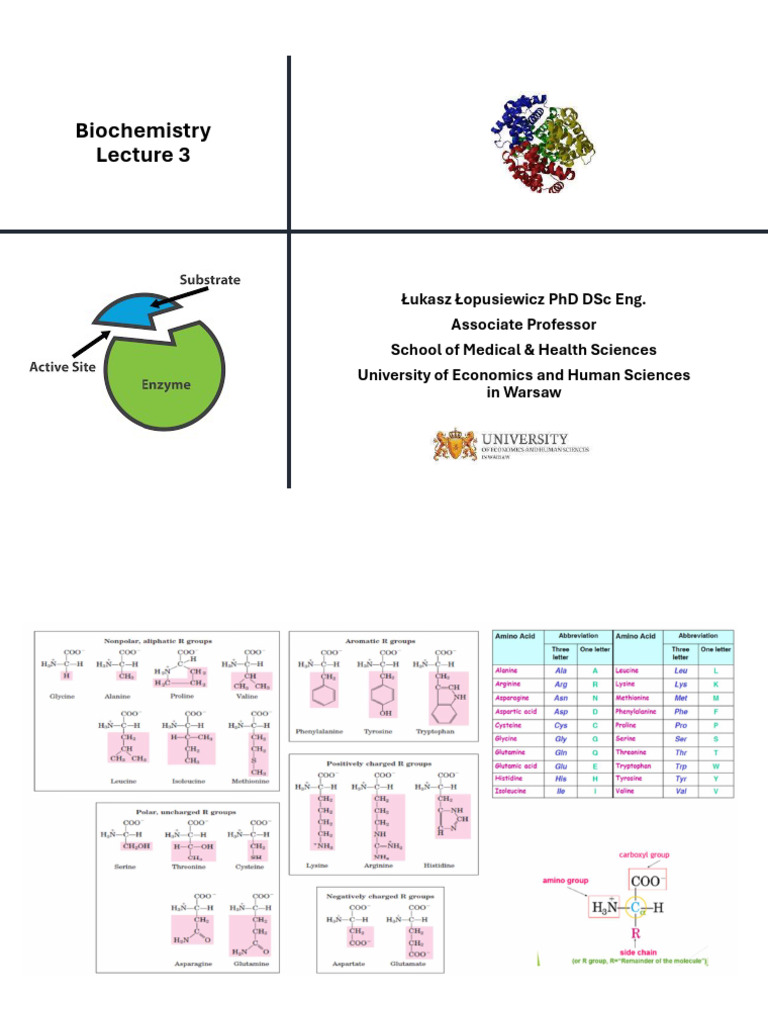 Enzyme Structure and Function Overview | PDF | Enzyme Inhibitor | Enzyme
